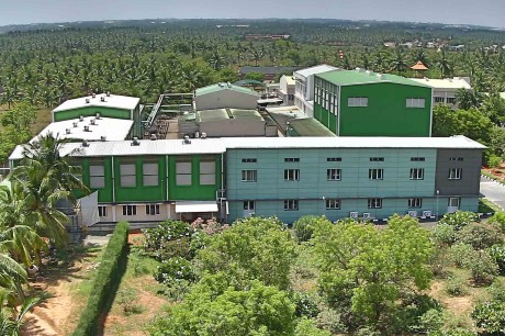 Our Story - Arjuna Natural