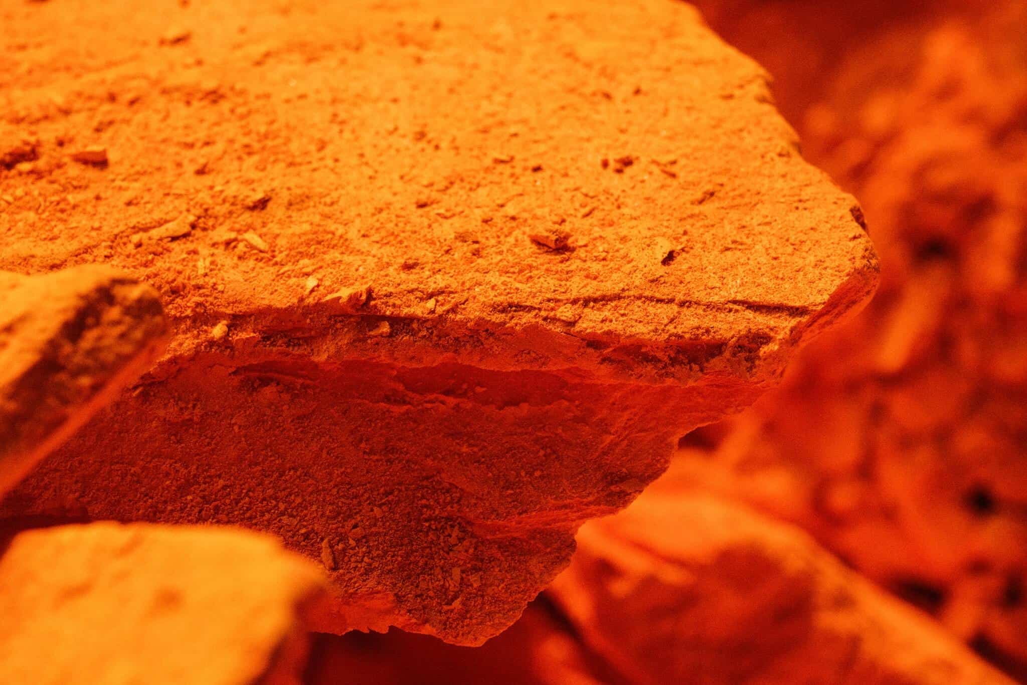 Turmeric Extract - Bcm 95 | Bioavailable Curcumin With Piperine