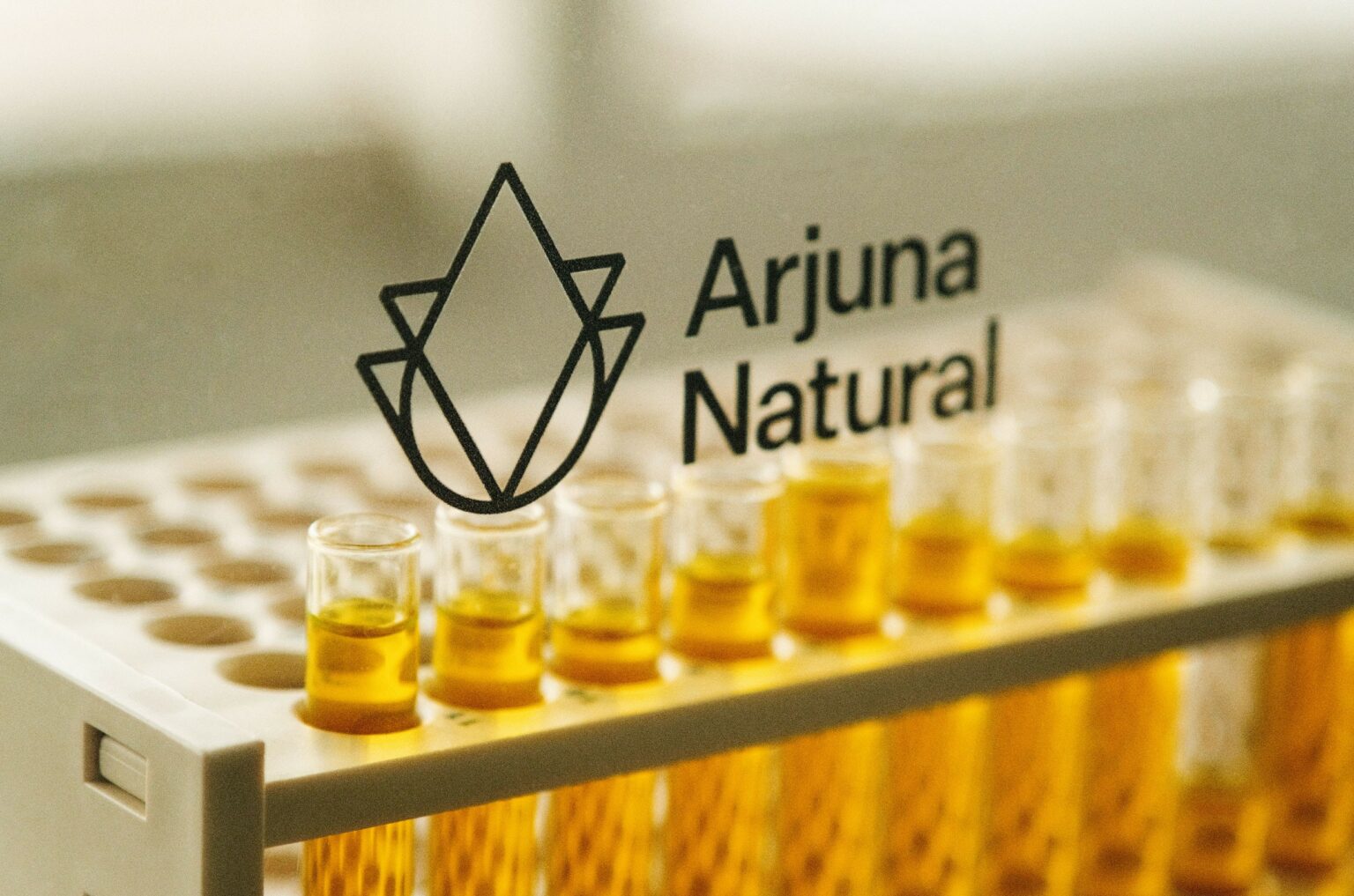 Story - Herbal Extract Manufacturer & Exporter in India | Arjuna ...