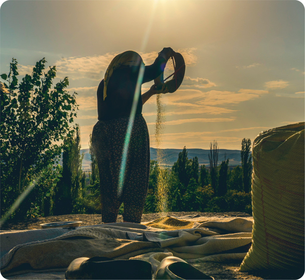 Botanical Extract Manufacturer and Supplier in India | Arjuna Natural