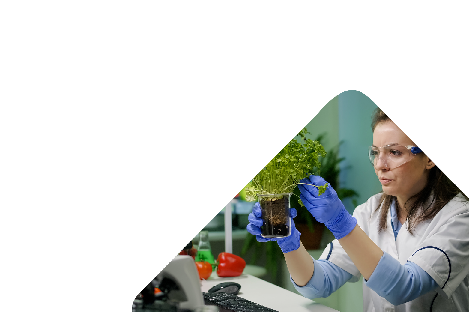 India’s Rise in Nutraceuticals & Botanicals